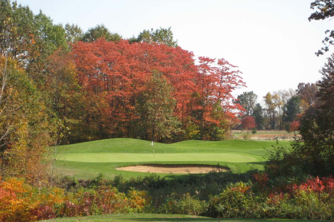 Home - GolfVisions Management, Inc.